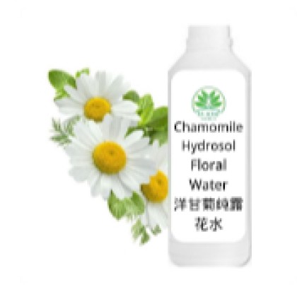 (Ready in melaka) Roman Chamomil / Chamomile Hydrosol floral water 罗马洋 ...