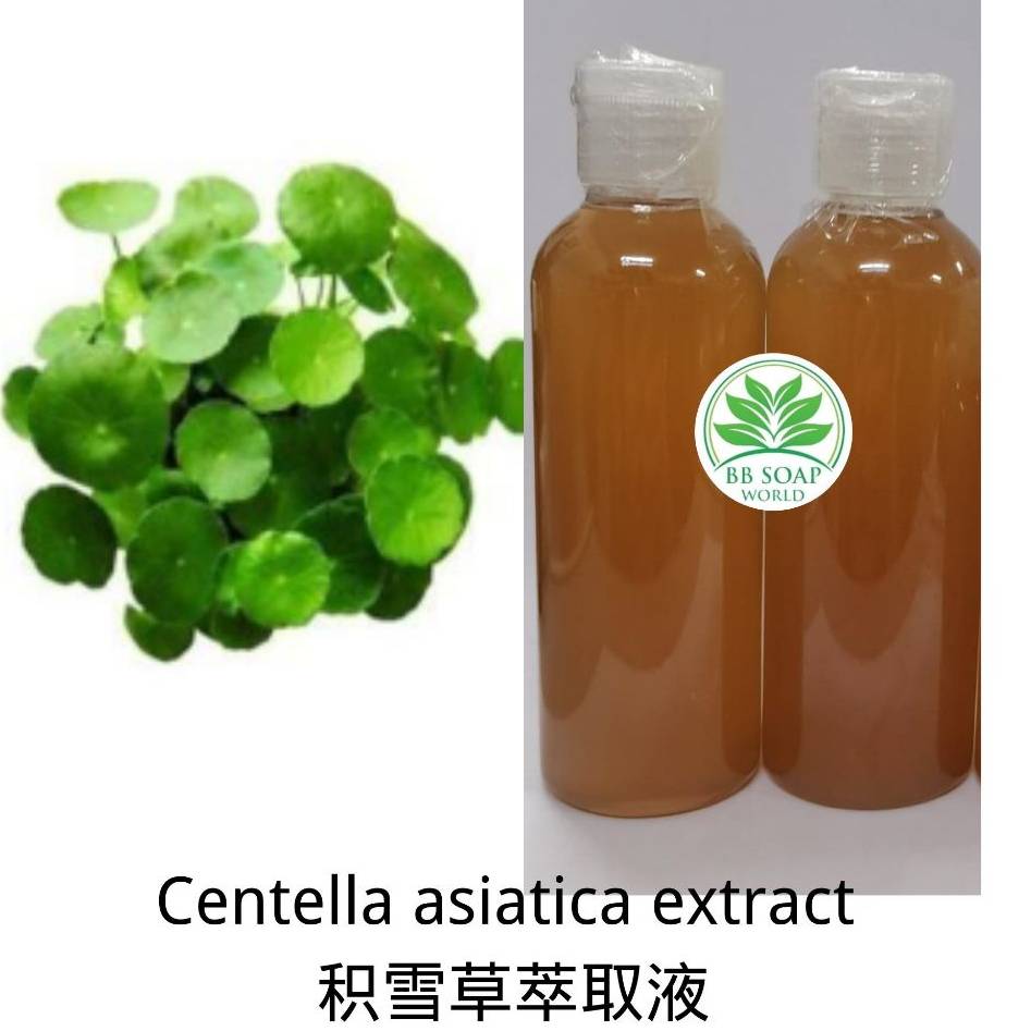 (Ready in melaka) Centella asiatica extract 积雪草萃取液 (3003)