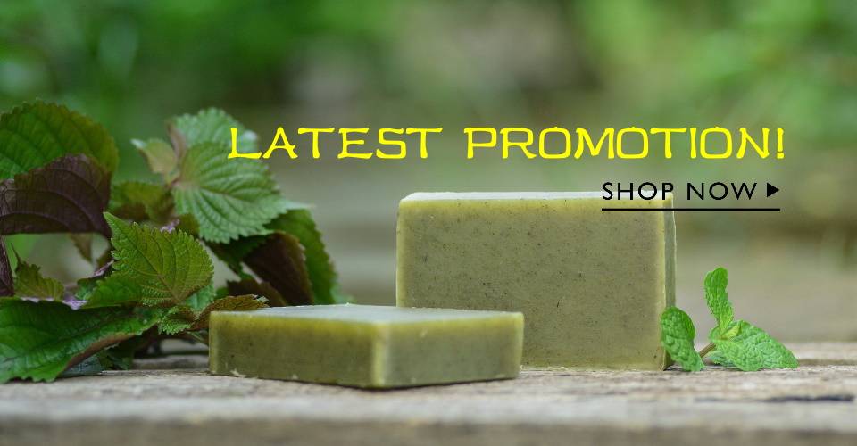 Welcome to BB Soap World